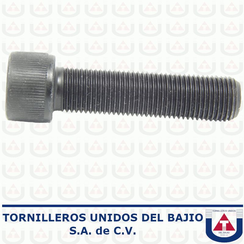 TORNILLO ALLEN CILINDRICO NF 3/8 X 1 - TORNILLEROS UNIDOS DEL BAJIO